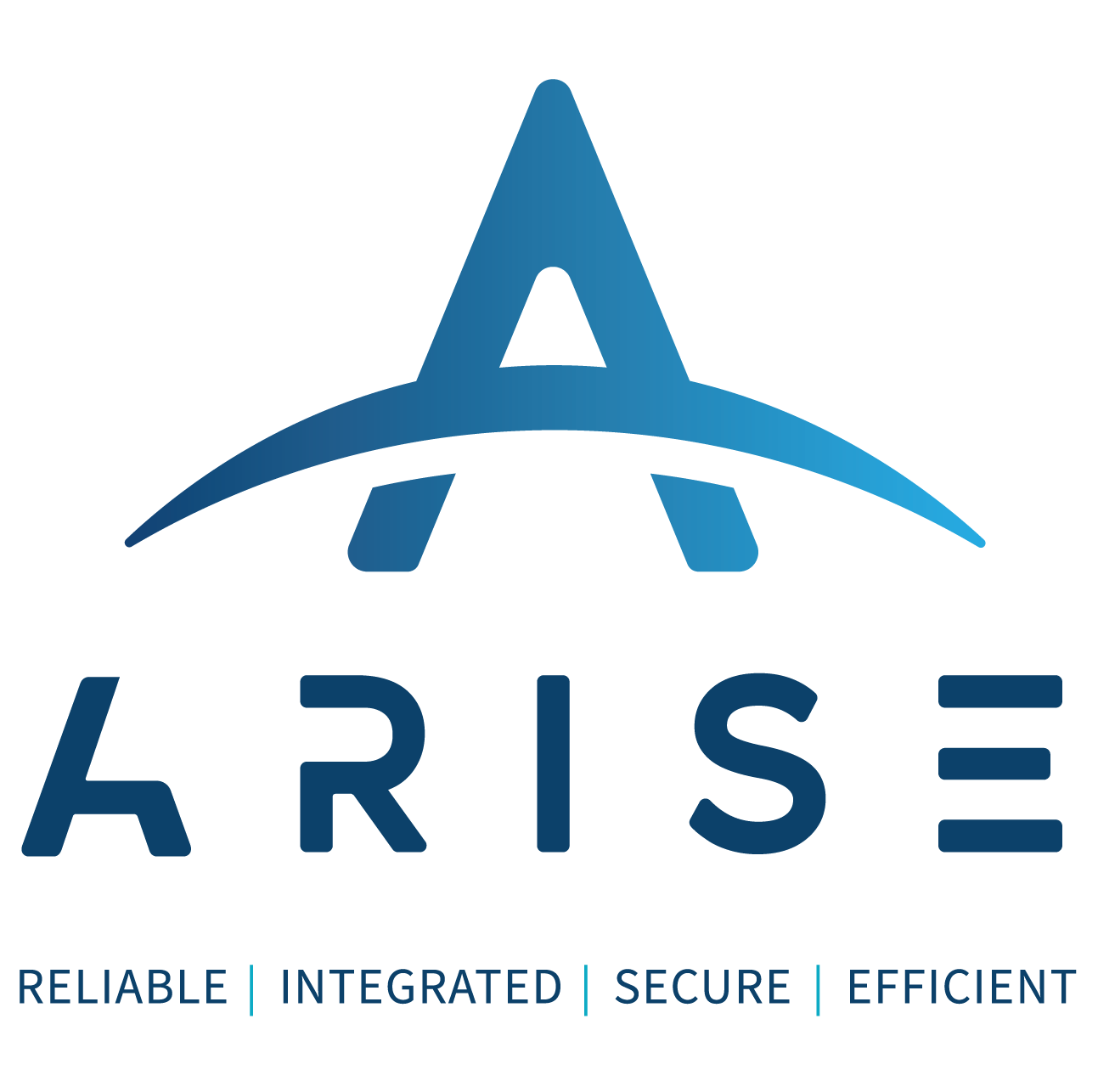 Introducing ARISE: The Next Generation Payment Platform